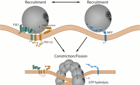 Award details | Funding and scholarships for students | University of ...