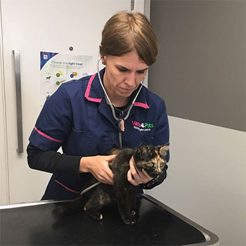 Nicola Drew | Exeter Anthrozoology as Symbiotic Ethics (EASE) working ...